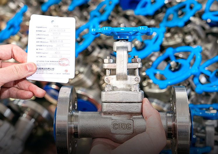 Assurance qualité des vannes en acier forgé – Traçabilité et tests des ...