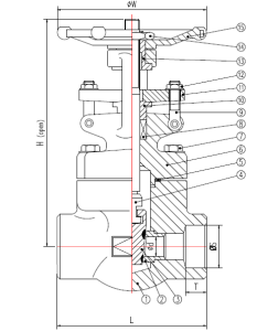 Low Emission Forged Gate Valve Manufacturer | CLDG