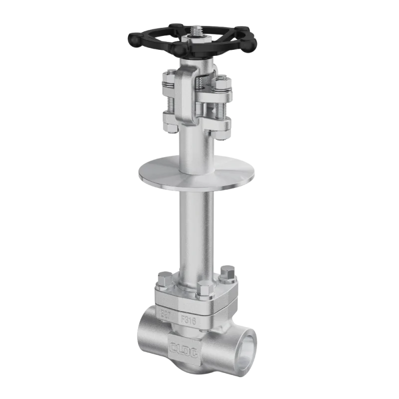 Cryogenic Valve | CLDG