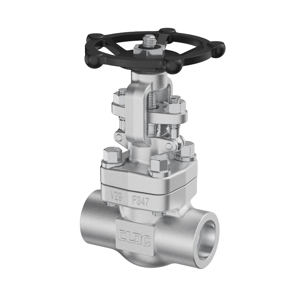 A Deep Dive into API 602 Standard for Forged Steel Valves | CLDG