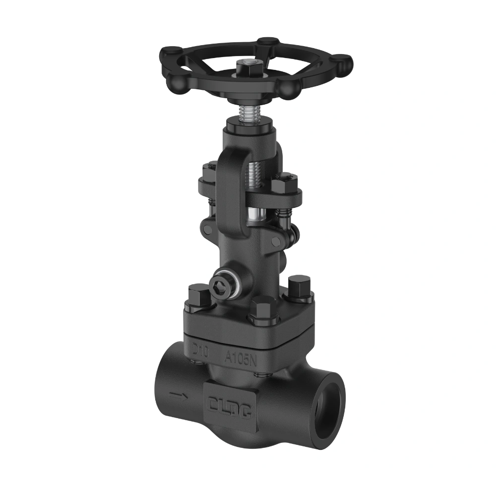 API 600 vs API 602: Key Differences in Forged Steel Gate Valves