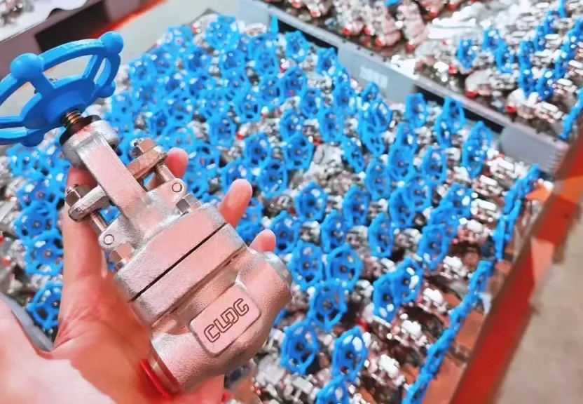 Ordering Customized Forged Steel Valves: Steps and Best Practices | CLDG