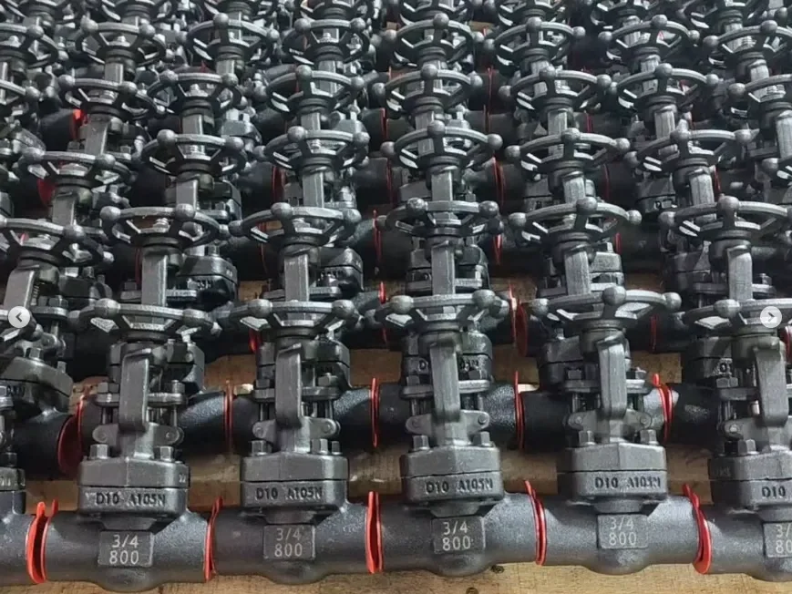 Forged Steel Valves: Everything You Need to Know | CLDG