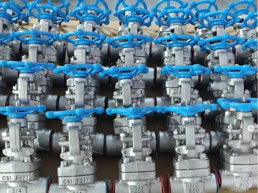 Ordering Customized Forged Steel Valves: Steps and Best Practices | CLDG