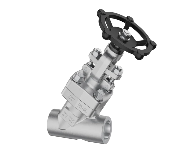 Forged Steel Y-Type Globe Valve Flow Control | CLDG