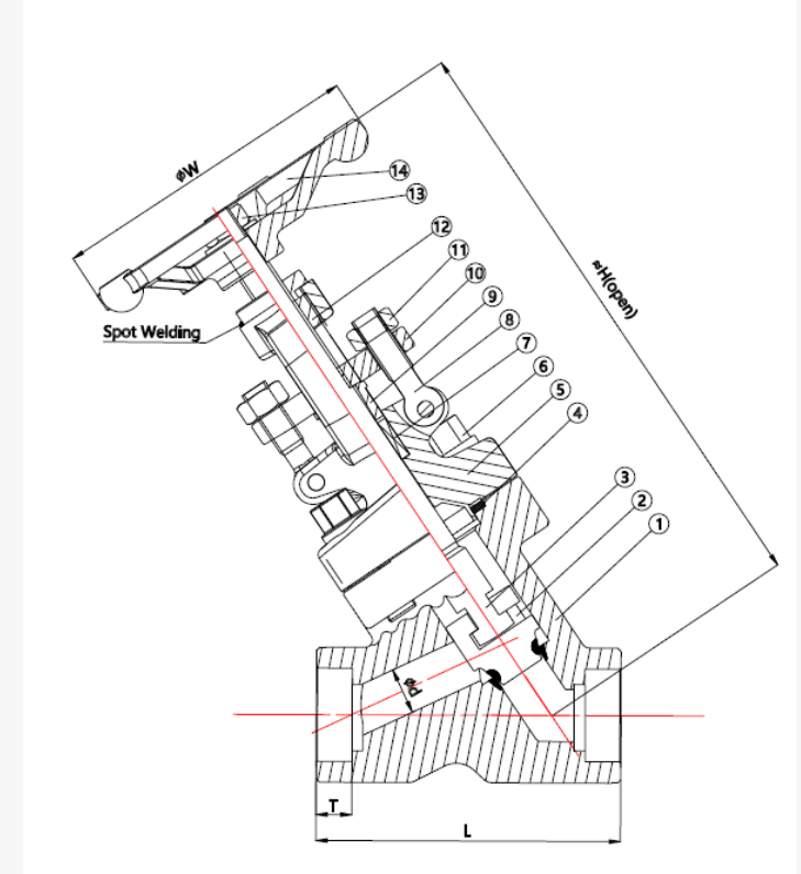 Forged Steel Y-Type Globe Valve Flow Control | CLDG