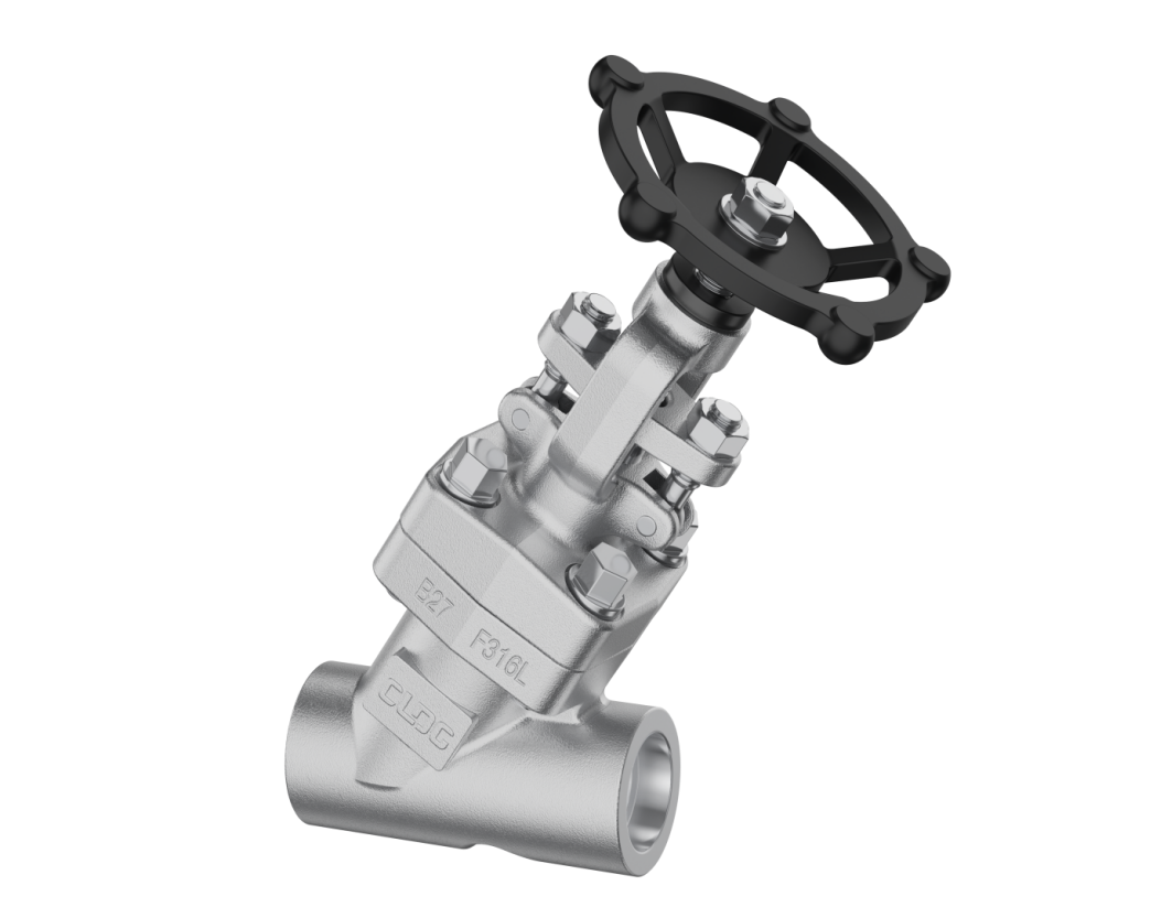 Forged Steel Y-Type Globe Valve Flow Control | CLDG