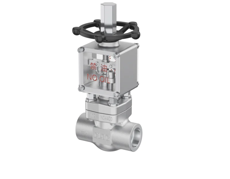 Oxygen Service Globe Valve for Industrial Safety | CLDG